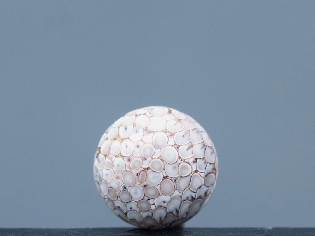 Wrasse Snake Skin Stone Fossilized Loose Gemstone Cabochon-indonesian ...