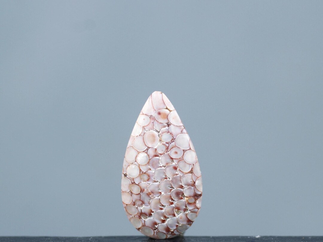 Wrasse Snake Skin Stone Fossilized Loose Gemstone Cabochon-indonesian ...