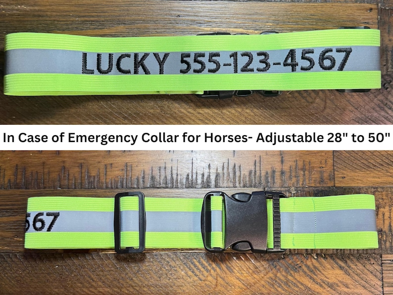 In Case of Emergency Collar for Horses- Fluorescent- Reflective ...