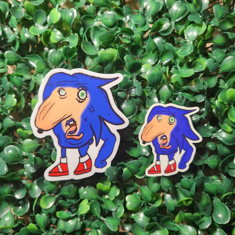 Sanic the Hedge | Sonic Waterbottle Sticker | - Etsy