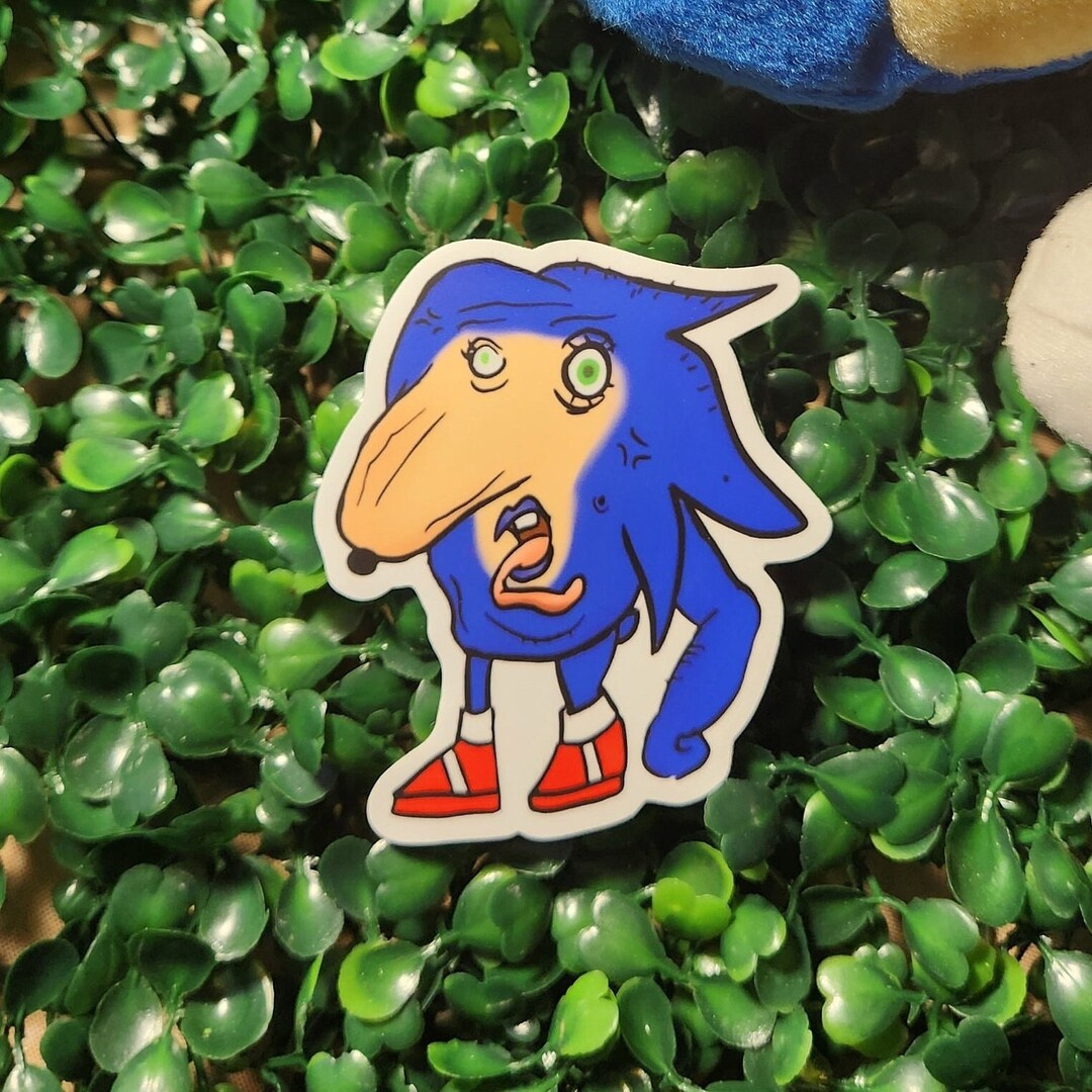 Sanic the Hedge | Sonic Waterbottle Sticker | - Etsy