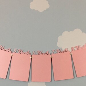 Milestone Banner First Birthday Banner Party Banner 12 - Etsy