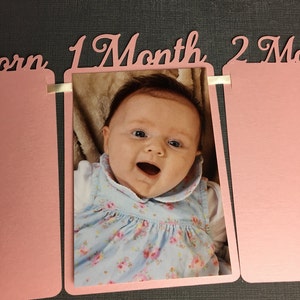 Milestone Banner First Birthday Banner Party Banner 12 - Etsy