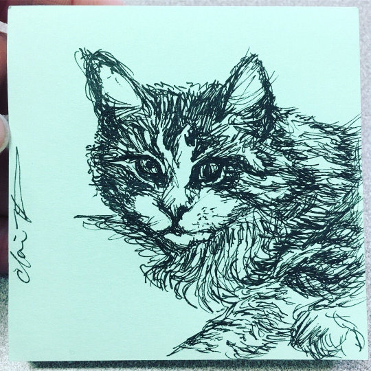 Pet Portraits - Post-it Note - Framed - Pen and Ink - Hand Drawn - Etsy