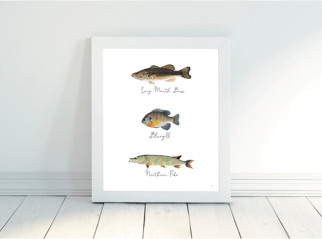 Custom Fish Print-largemouth Bass, Bluegill and Northern Pike - Etsy