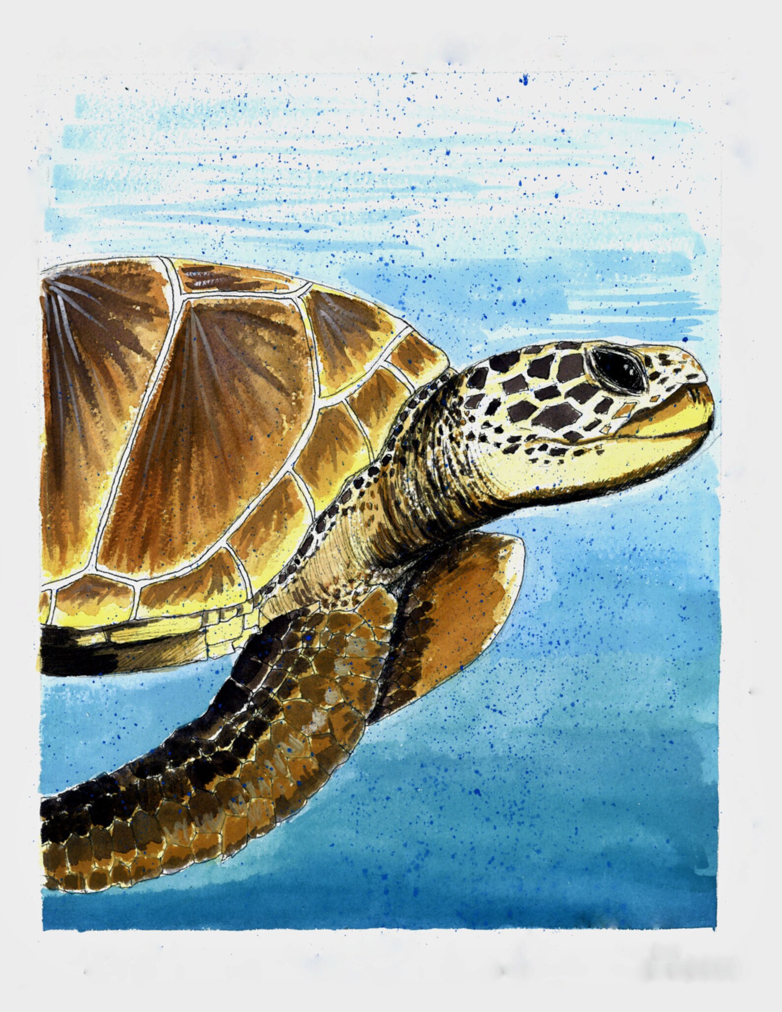 Sea Turtle Print-giclee Fine Art Print of Original Gouache Painting - Etsy
