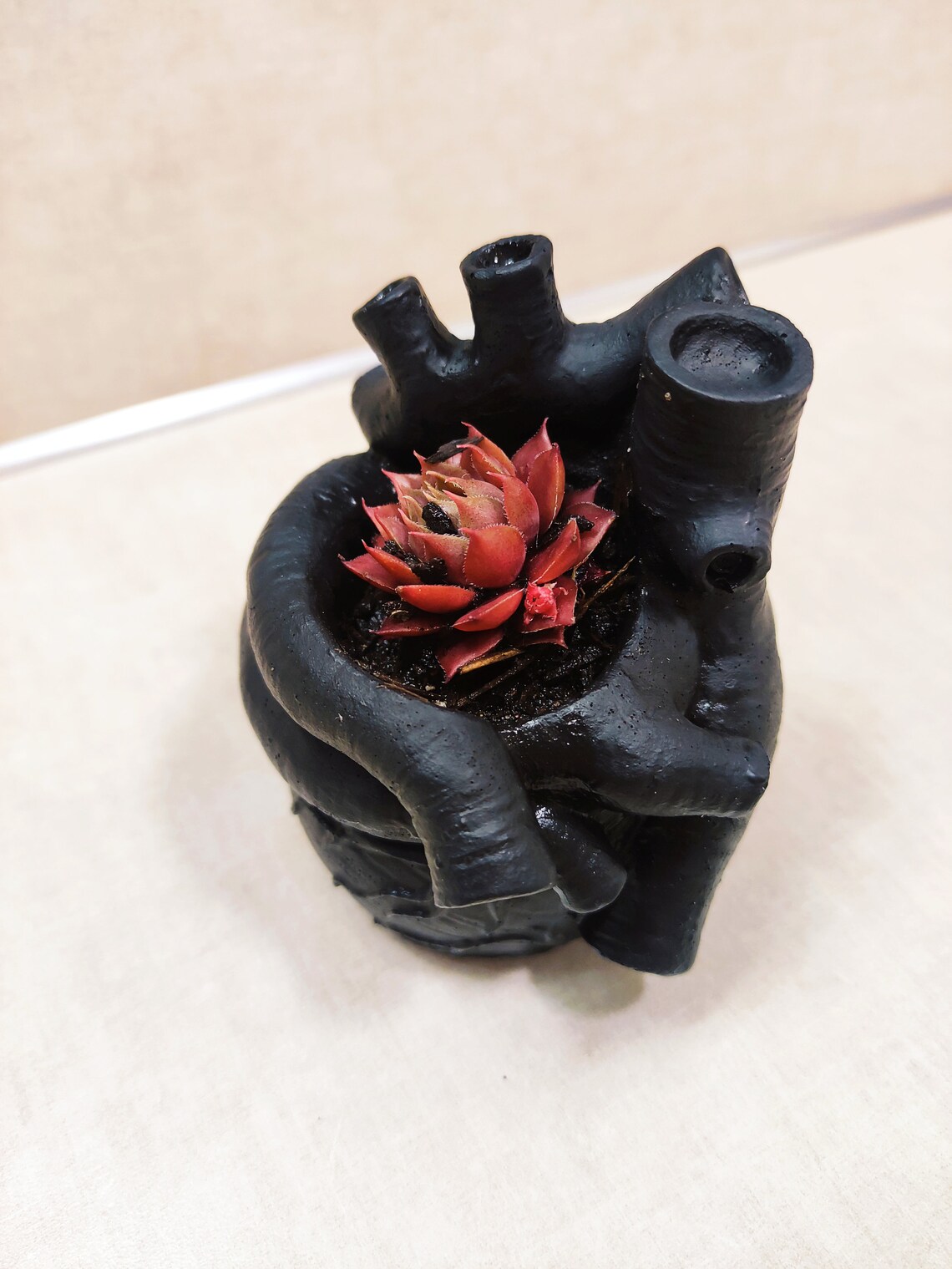 ANATOMICAL HEART Mini Planter Pot Realistic Human Heart in | Etsy