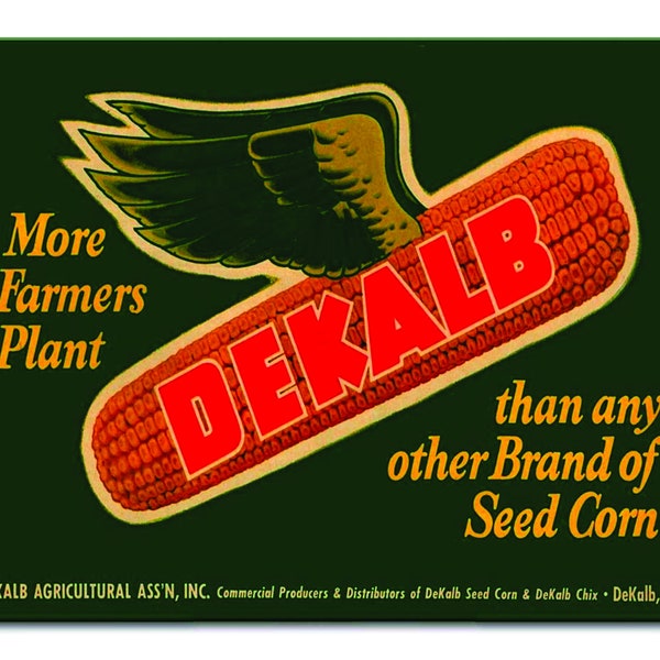 Dekalb Corn Seed - Etsy