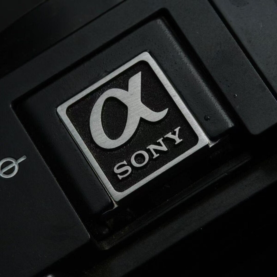 Sony ( α Sony ) Hotshoe Plate/cap - Etsy