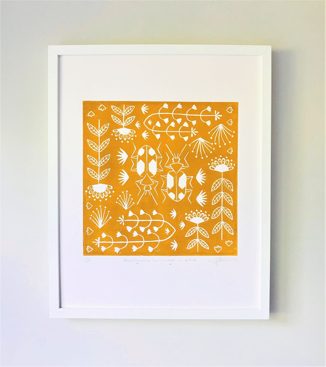 Panagaeus Crux Major in ocra, stampa scandinava, linoleografia in ...