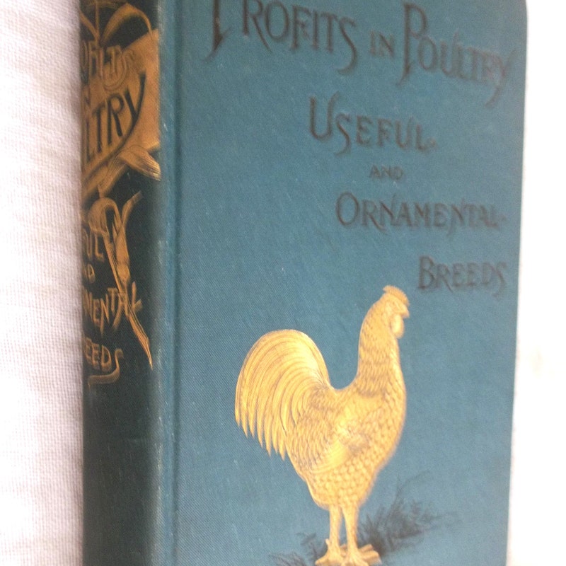 Poultry - Etsy