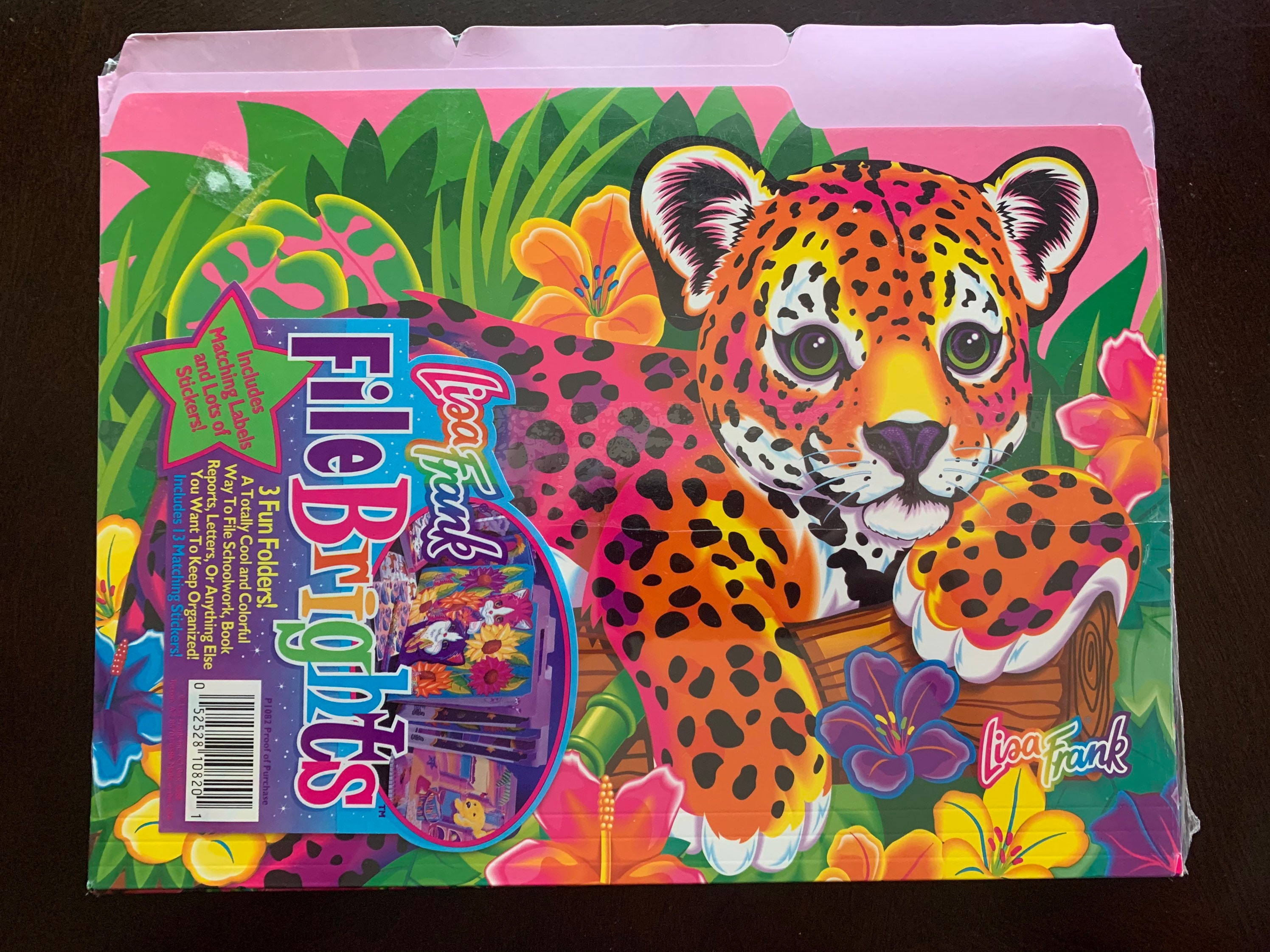Lisa Frank Vintage FILE BRIGHTS Folders 3Pk Unopened HUNTER | Etsy