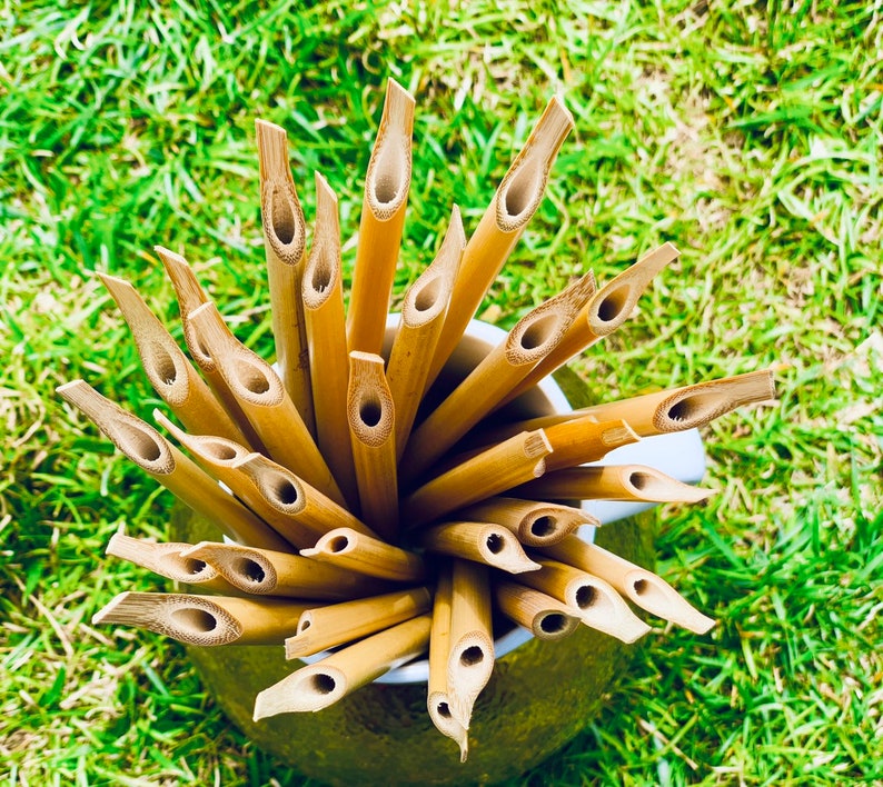 Calligraphy Reed Pen Qalam Kalam Pen Arabic Farsi Hebrew | Etsy