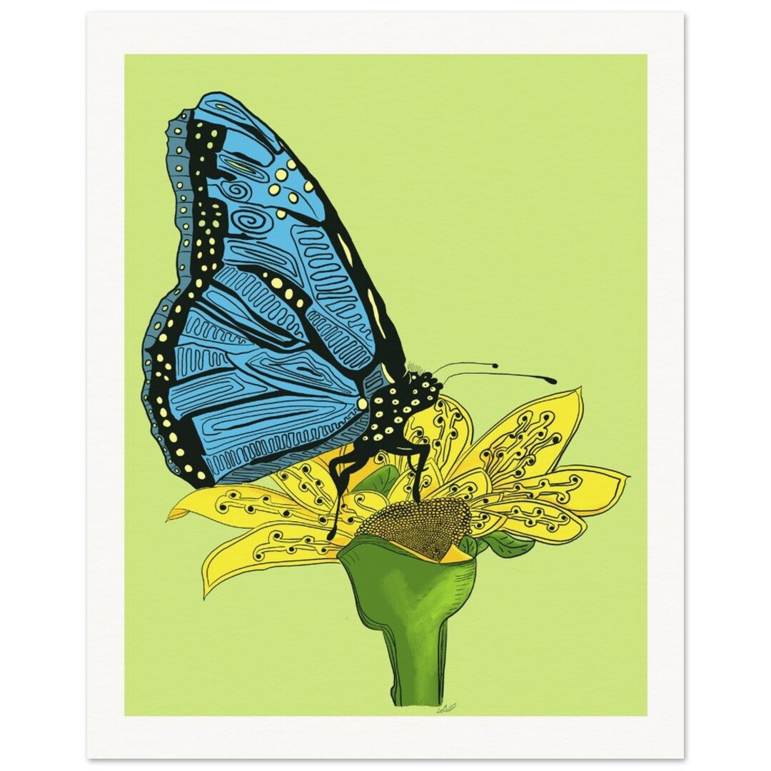 Butterfly Poster for Spring Decorating. Matte Paper 16 X 20. Artist ...