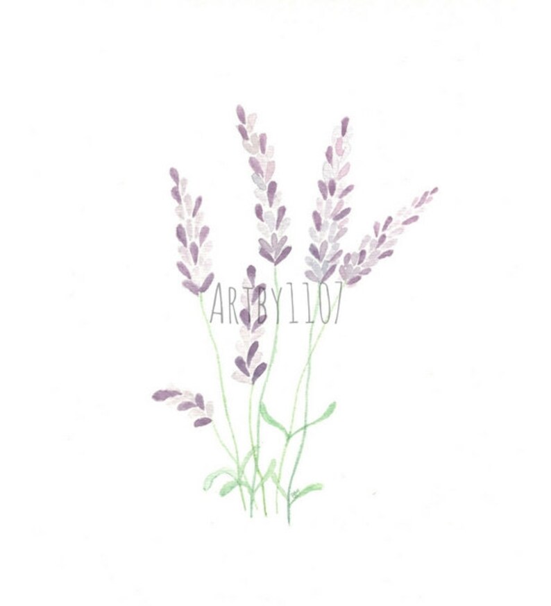 Lavender Print, Lavender Art, Lavender Wall Art, Botanical Prints ...
