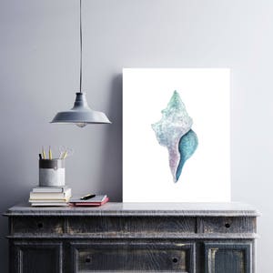 Seashell Wall Art, Coastal Art Prints, Beach Print, Seashell Print ...