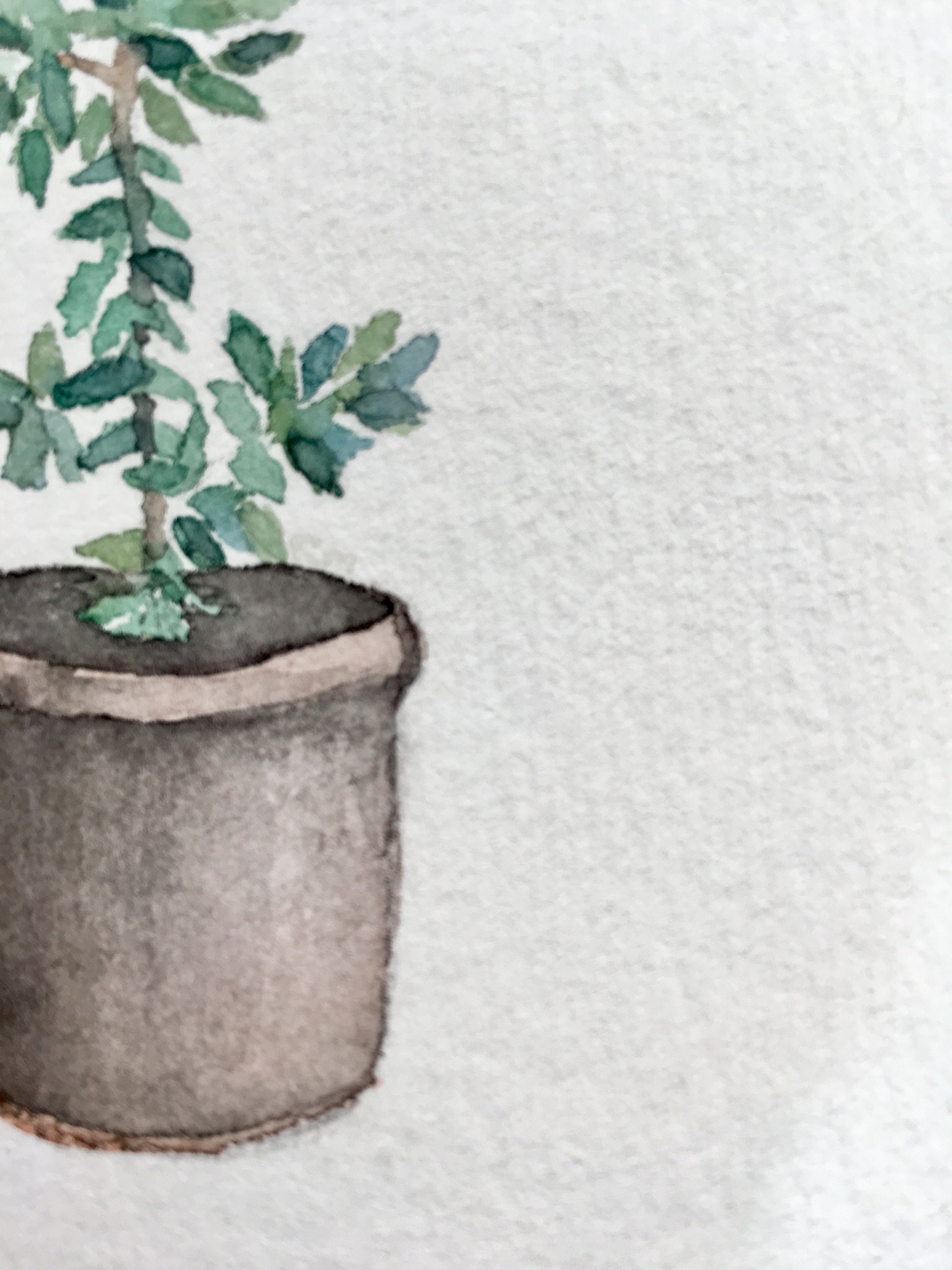 Miniature Plant Print Art, Tiny Art Prints, Dorm Wall Art, Botanical ...