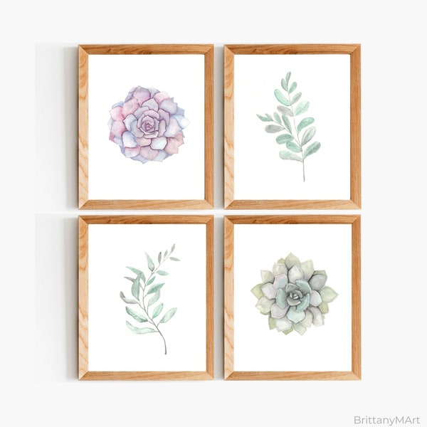 Succulent Print - Etsy