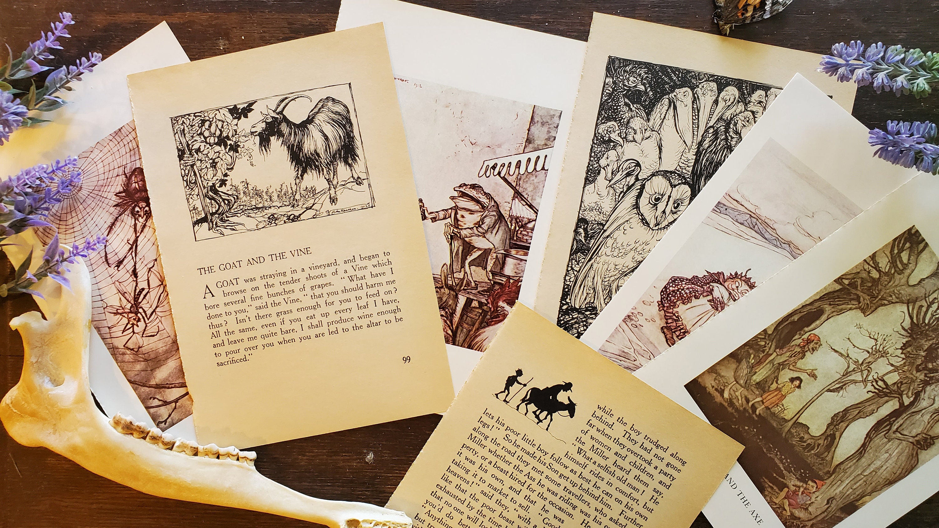 50 Vintage Arthur Rackham Illustrated Pages From Aesop's Fables ...