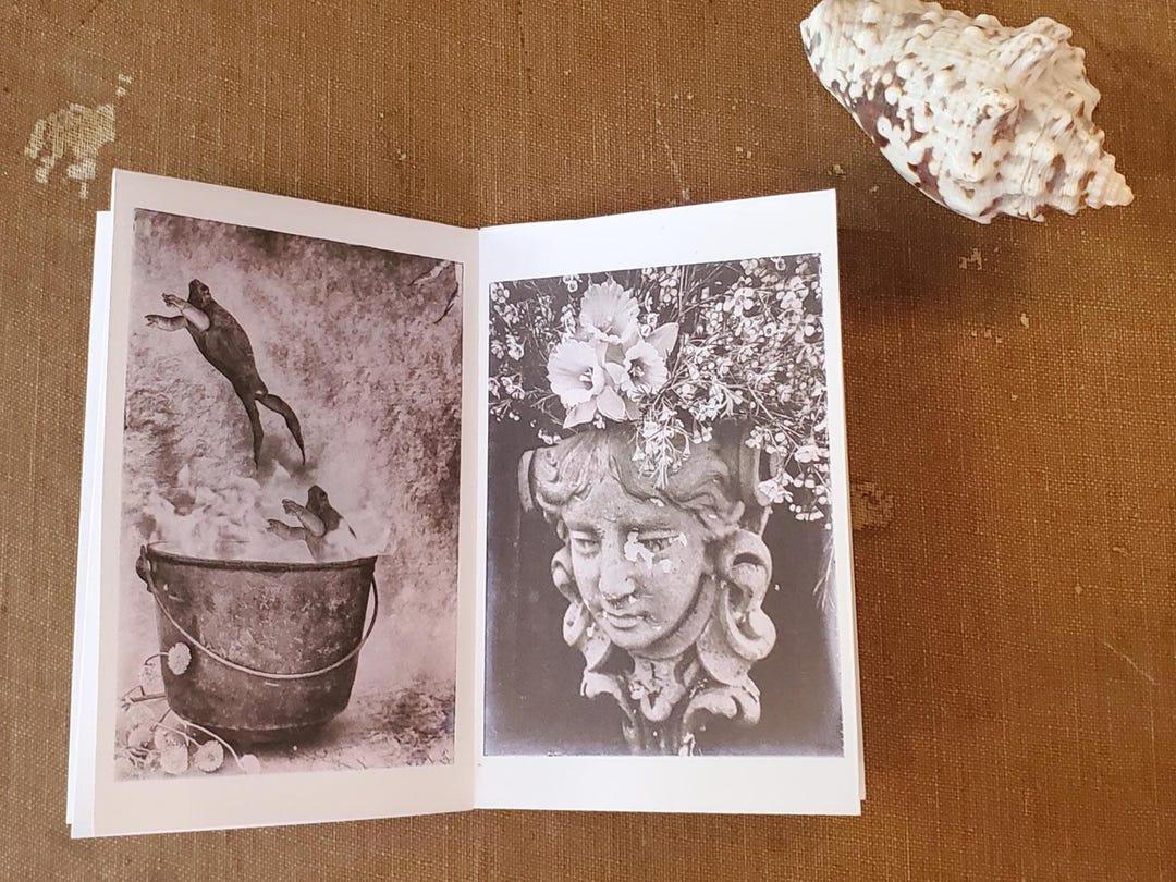 Zine - Naturalchemy Unusual Original Still Life Photography Mini Zine ...