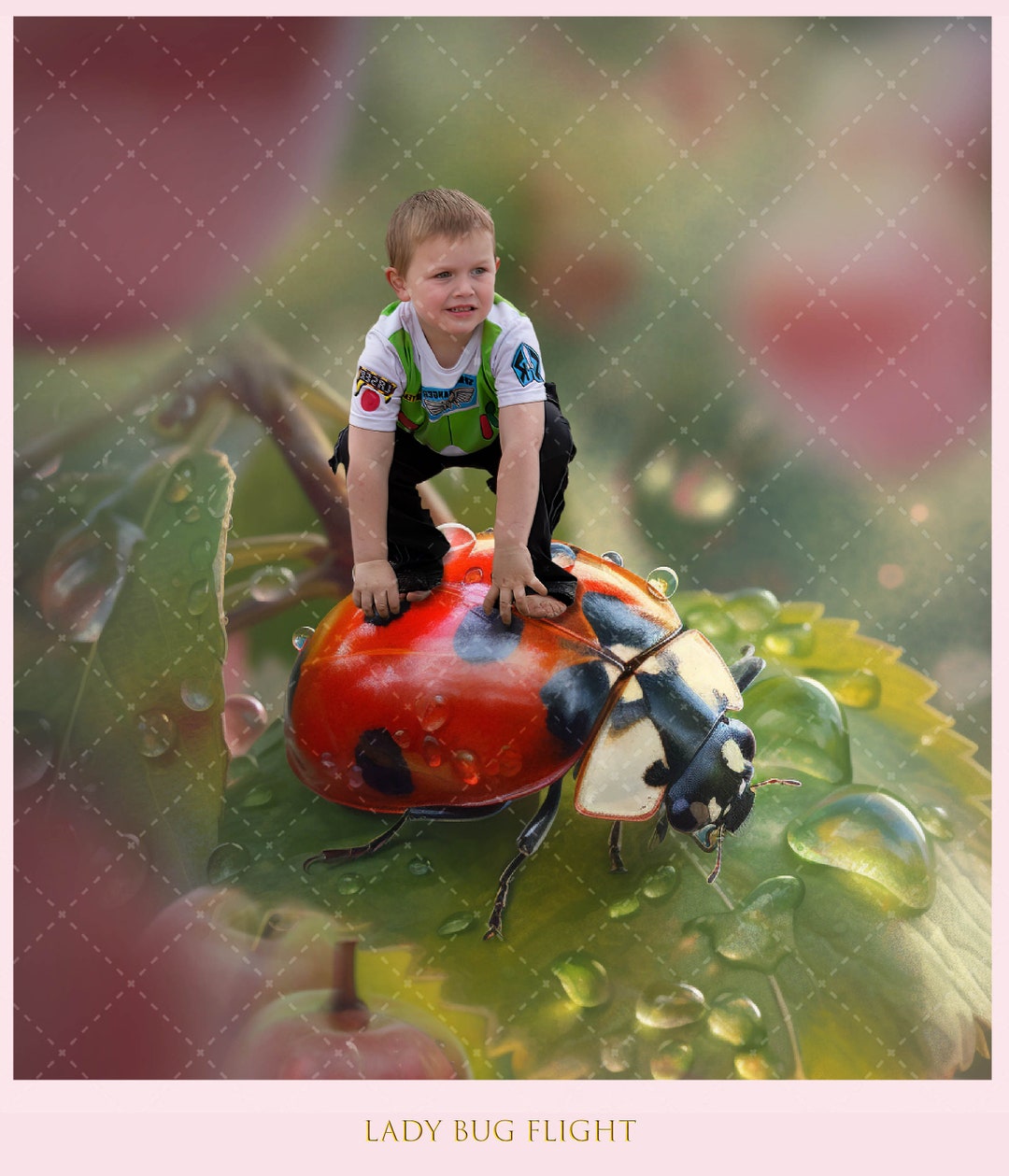 Lady Bug Flight, Composite Photography, Composite, Digital Image, Lady ...