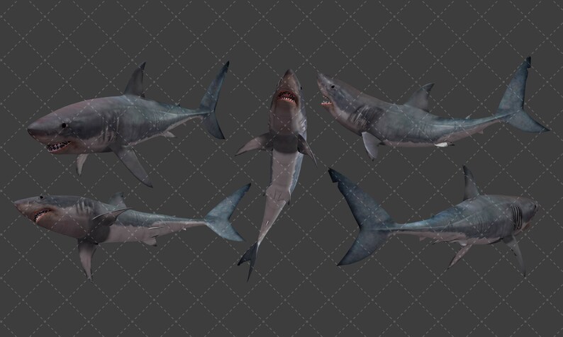 Shark PNG, PNG, Shark Overlay, Overlay, Digital Image, Digital, Digital ...