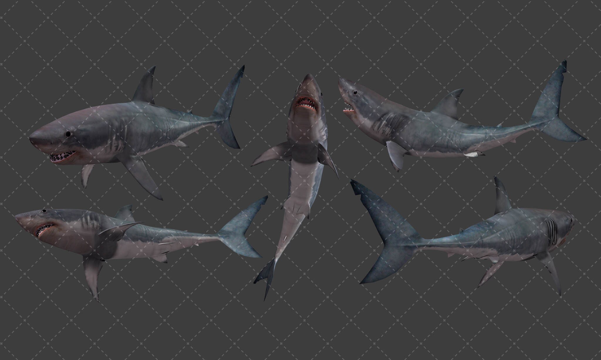 Shark PNG, PNG, Shark Overlay, Overlay, Digital Image, Digital, Digital ...