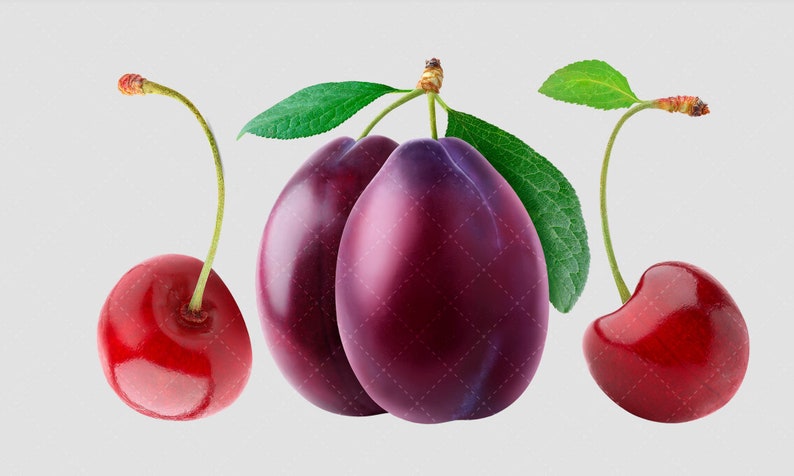 Fruit Overlay, Fruit PNG, Composite Image, Digital Image, Digital ...