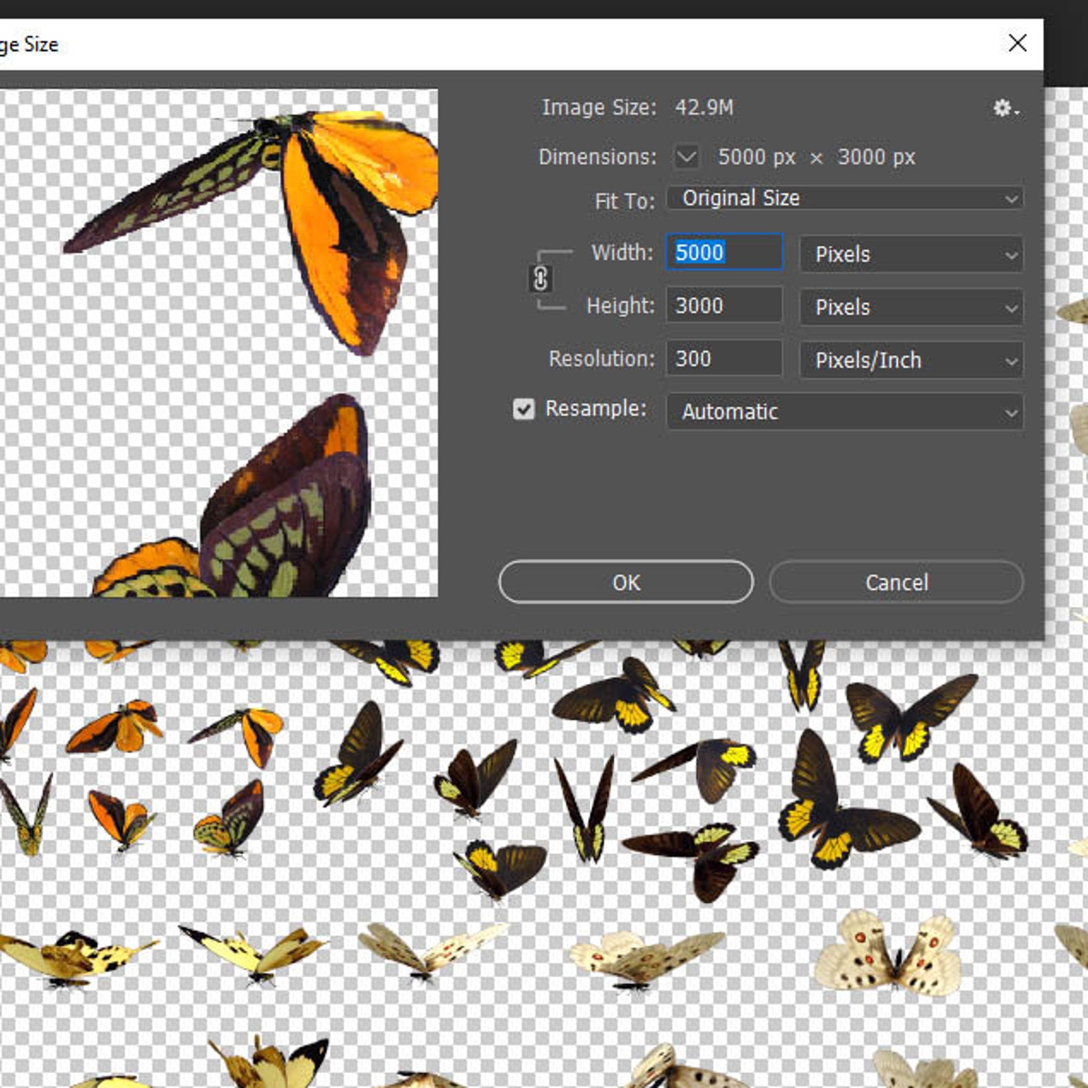 Butterfly Overlay, Butterfly PNG, Png, Overlay, Butterfly, Digital ...