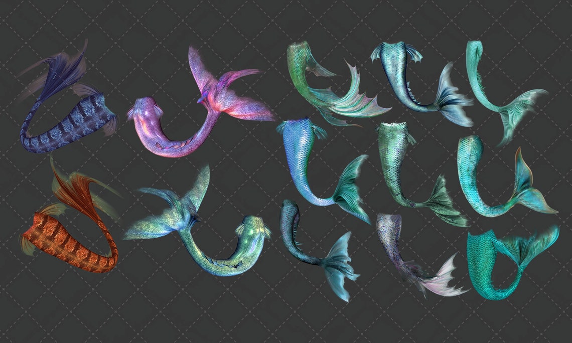 Mermaid Tail PNG, Mermaid Tail, PNG, Overlay, Mermaid Tail Overlay ...