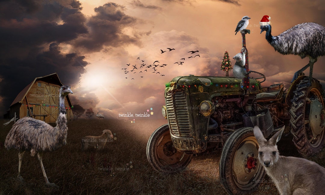 Christmas Backdrop, Aussie Backdrop, Christmas, Aussie, Kangaroo ...