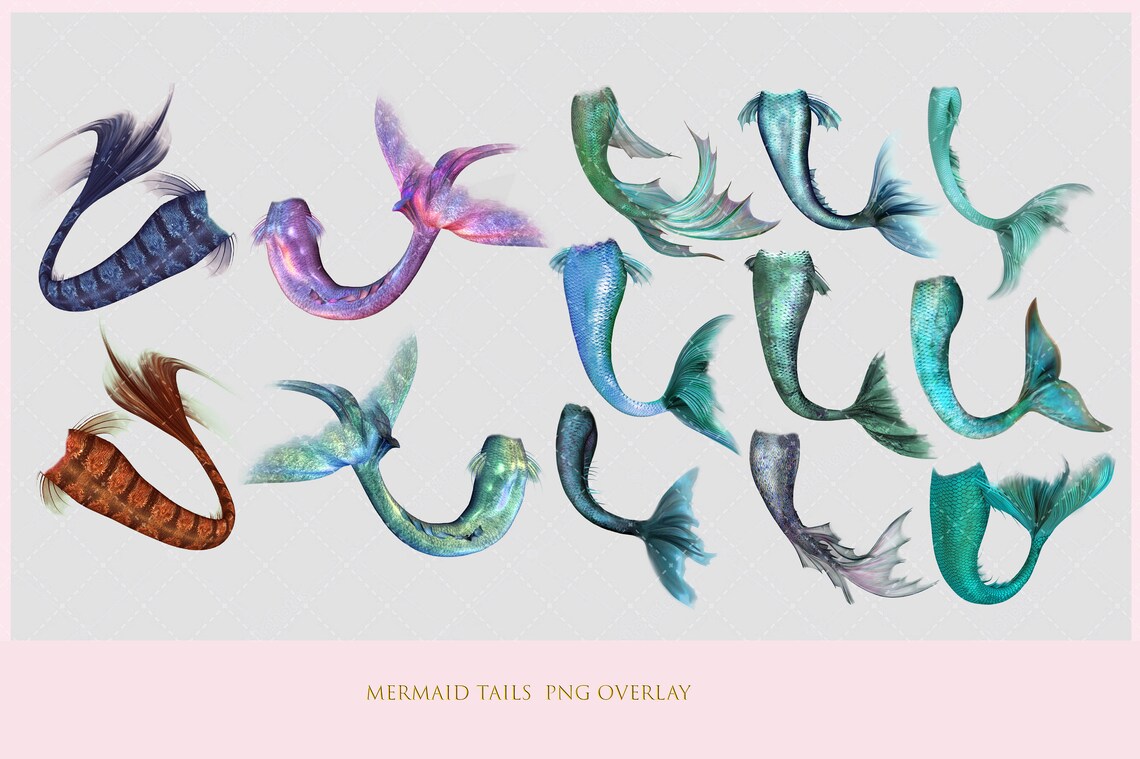 Mermaid Tail PNG, Mermaid Tail, PNG, Overlay, Mermaid Tail Overlay ...