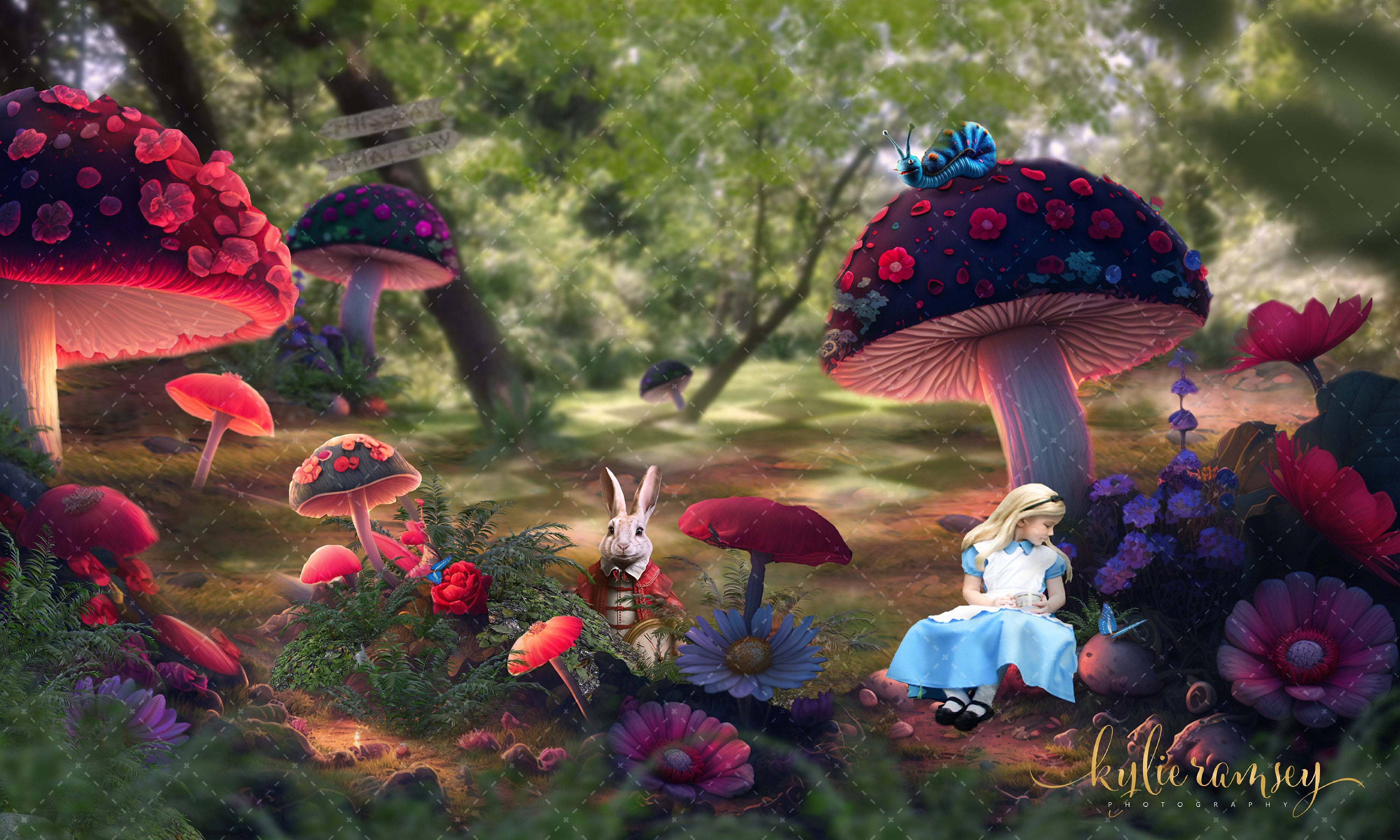Alice in Wonderland, Alice in Wonderland Backdrop, Alice in Wonderland ...