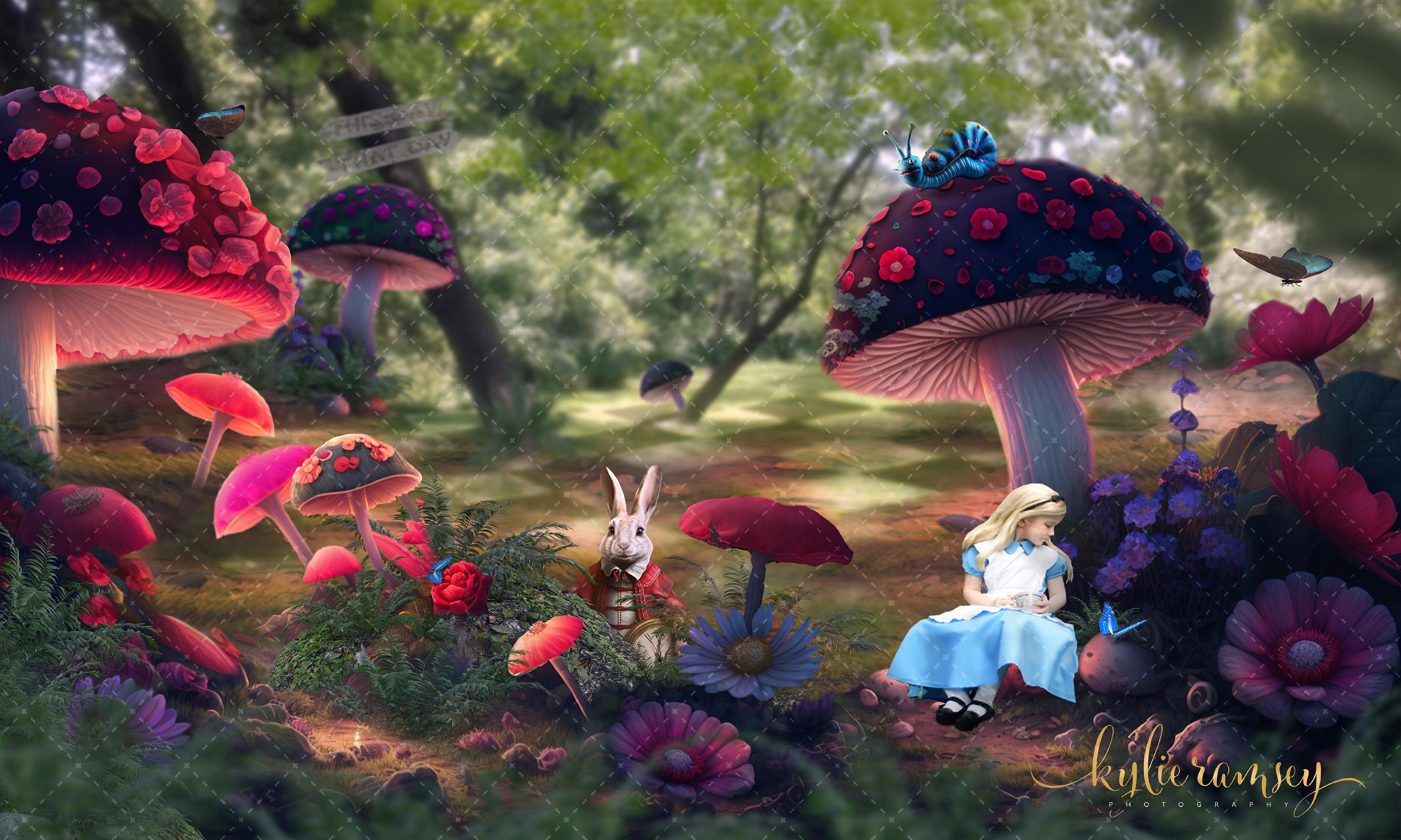 Alice in Wonderland, Alice in Wonderland Backdrop, Alice in Wonderland ...