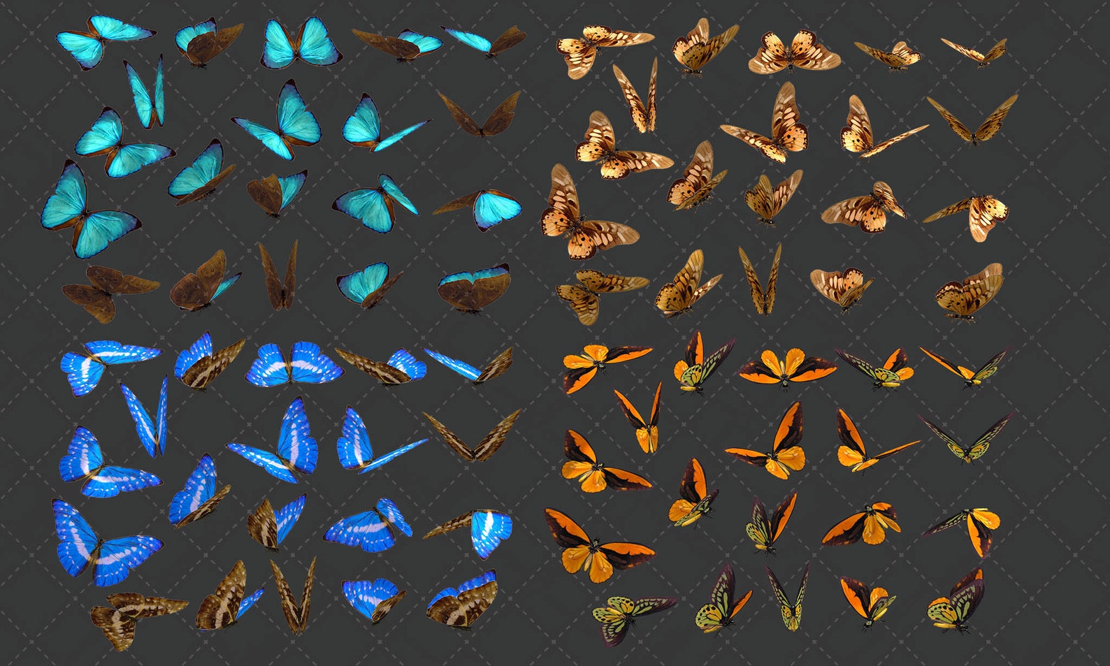 Butterfly Overlay, Butterfly PNG, Png, Overlay, Butterfly, Digital ...