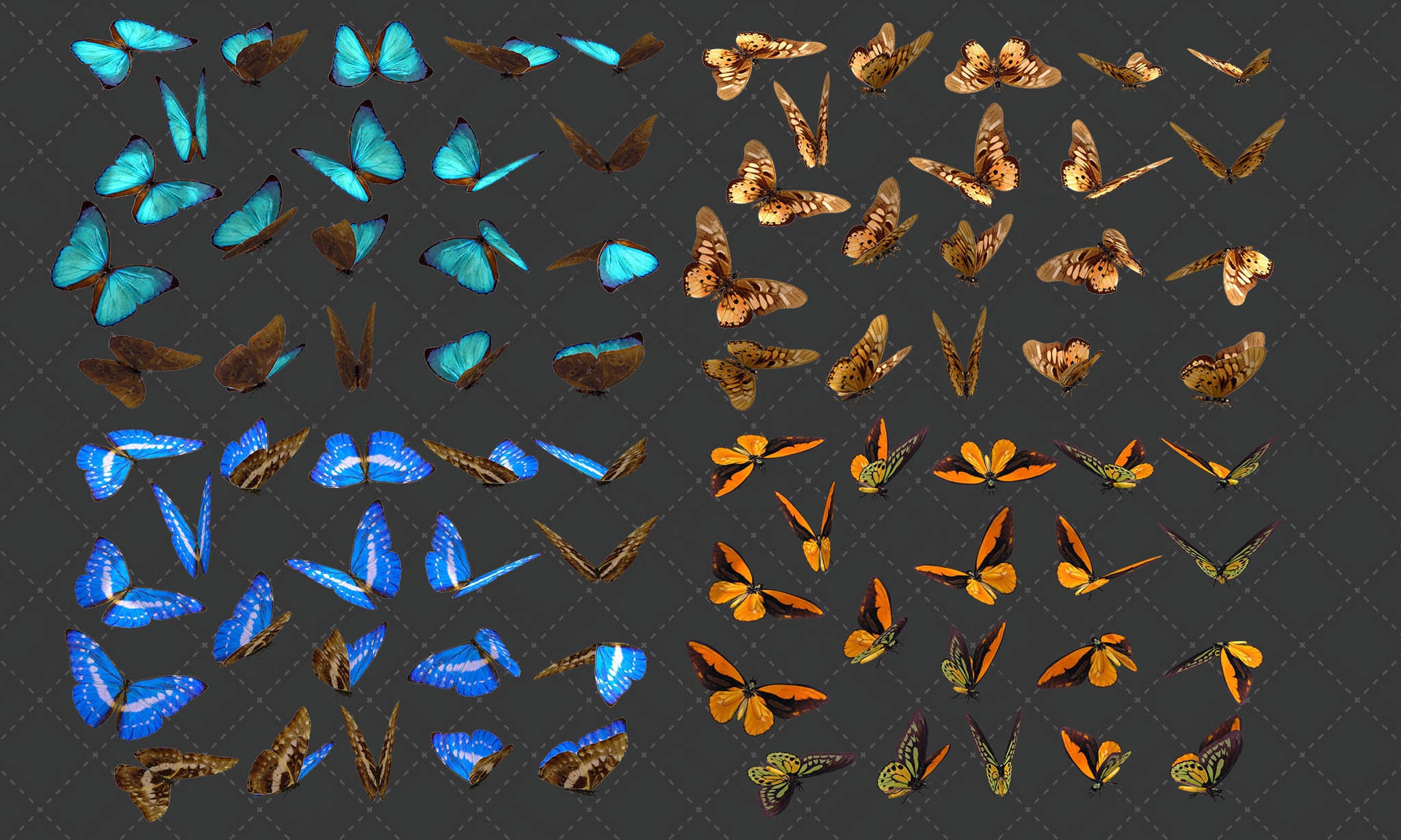 Butterfly Overlay, Butterfly PNG, Png, Overlay, Butterfly, Digital ...