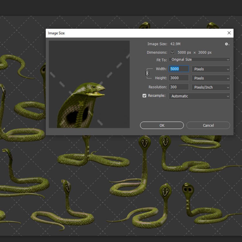 Snake Overlay, Snake PNG, PNG, Overlay, Transparent, Photoshop ...