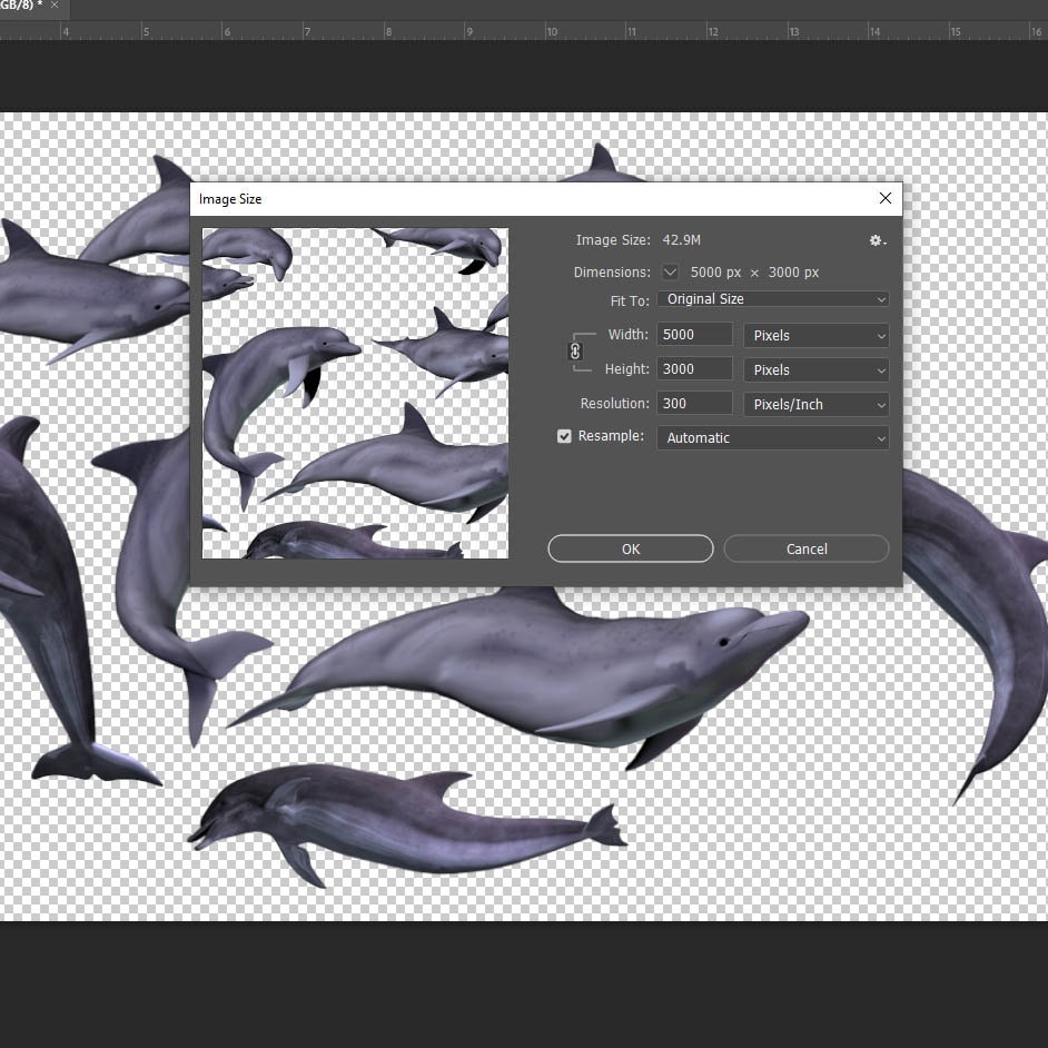 Dolphin PNG, Dolphin Overlay, PNG, Overlay, Transparent, Backdrop ...