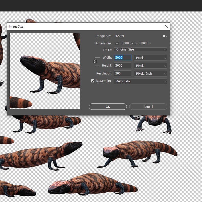 Lizard Overlay, Lizard PNG, PNG, Overlay, Digital Image, Composite ...