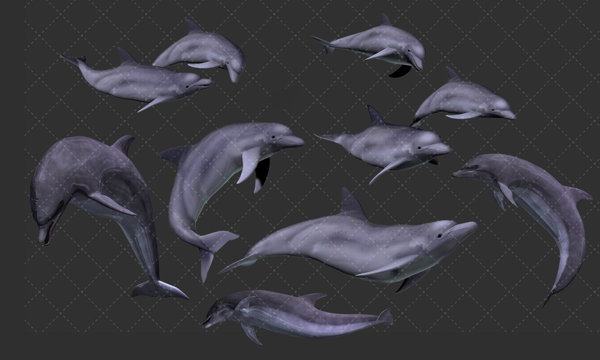 Dolphin PNG, Dolphin Overlay, PNG, Overlay, Transparent, Backdrop ...