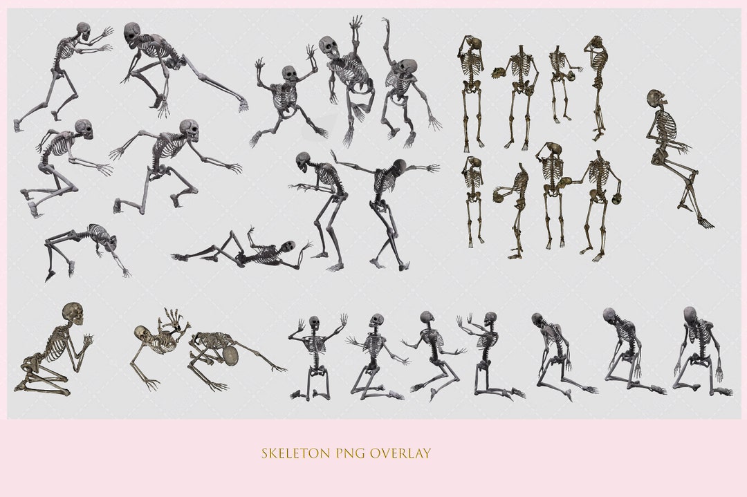 Skeleton PNG, Skeleton Overlay, Overlay, PNG, Transparent, Digital ...