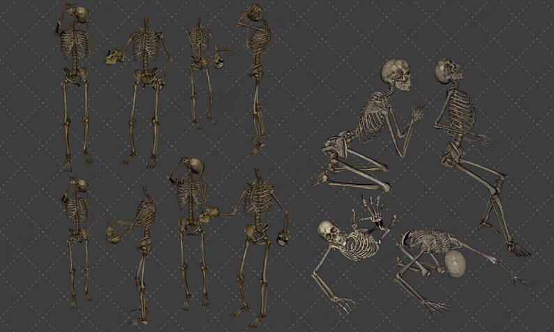 Skeleton PNG, Skeleton Overlay, Overlay, PNG, Transparent, Digital ...