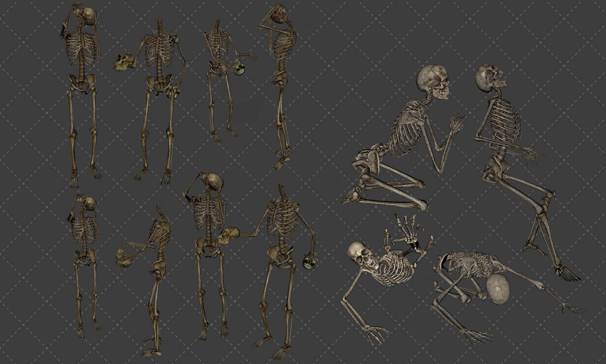 Skeleton PNG, Skeleton Overlay, Overlay, PNG, Transparent, Digital ...