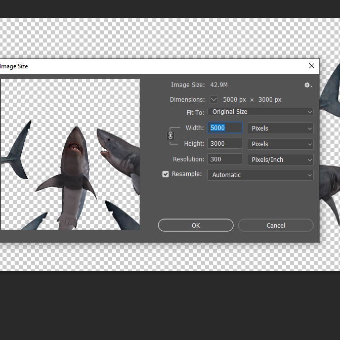 Shark PNG, PNG, Shark Overlay, Overlay, Digital Image, Digital, Digital ...