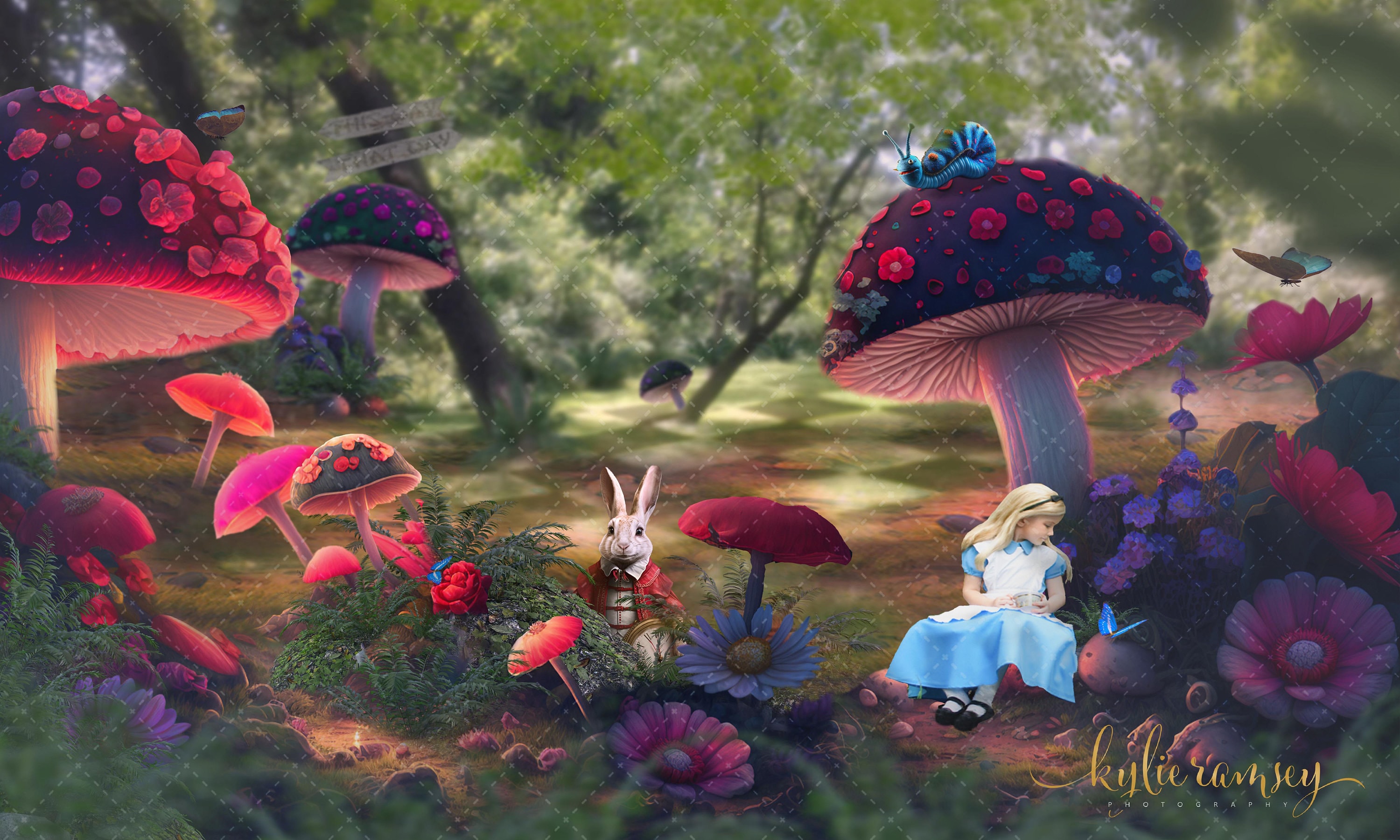 Alice in Wonderland, Alice in Wonderland Backdrop, Alice in Wonderland ...