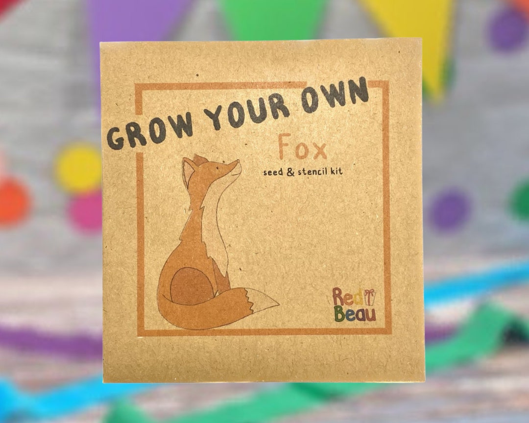 Woodland Fox Seed & Stencil X5 Eco Party Favour Packs for Kids Birthday ...