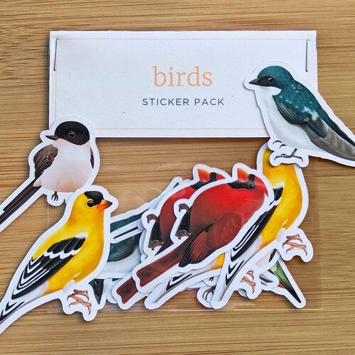 Bird Sticker Pack 12pc / Bird Stickers / Nature Stickers / | Etsy