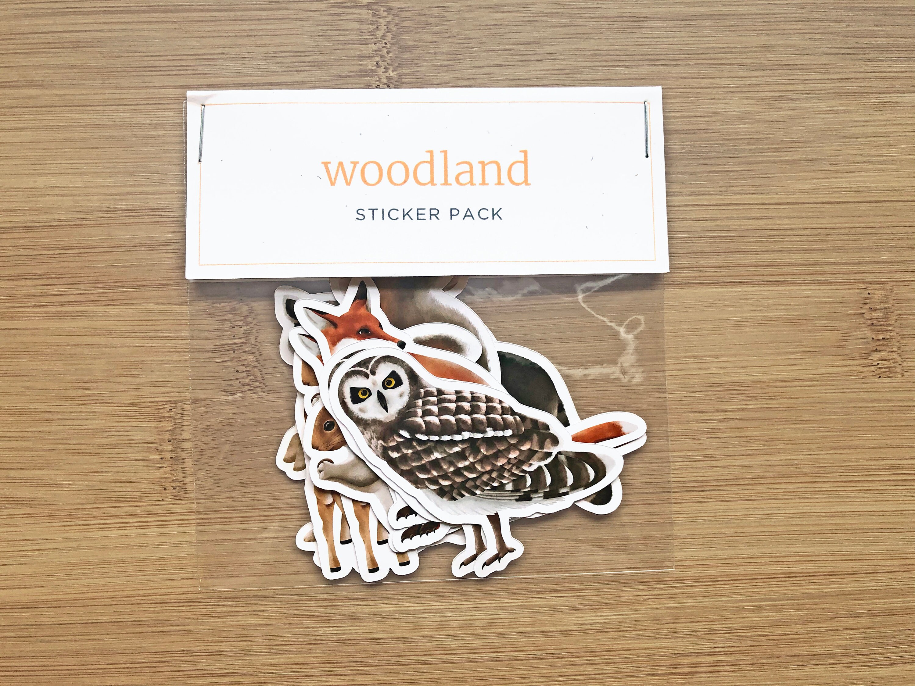Woodland Sticker Pack 12pc / Forest Animal Stickers / Animal - Etsy