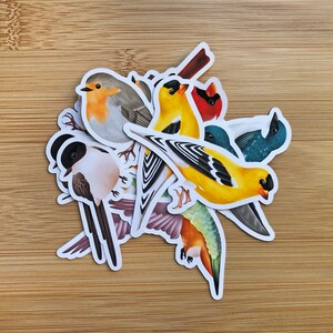 Bird Sticker Pack 12pc / Bird Stickers / Nature Stickers / Bird Sticker ...