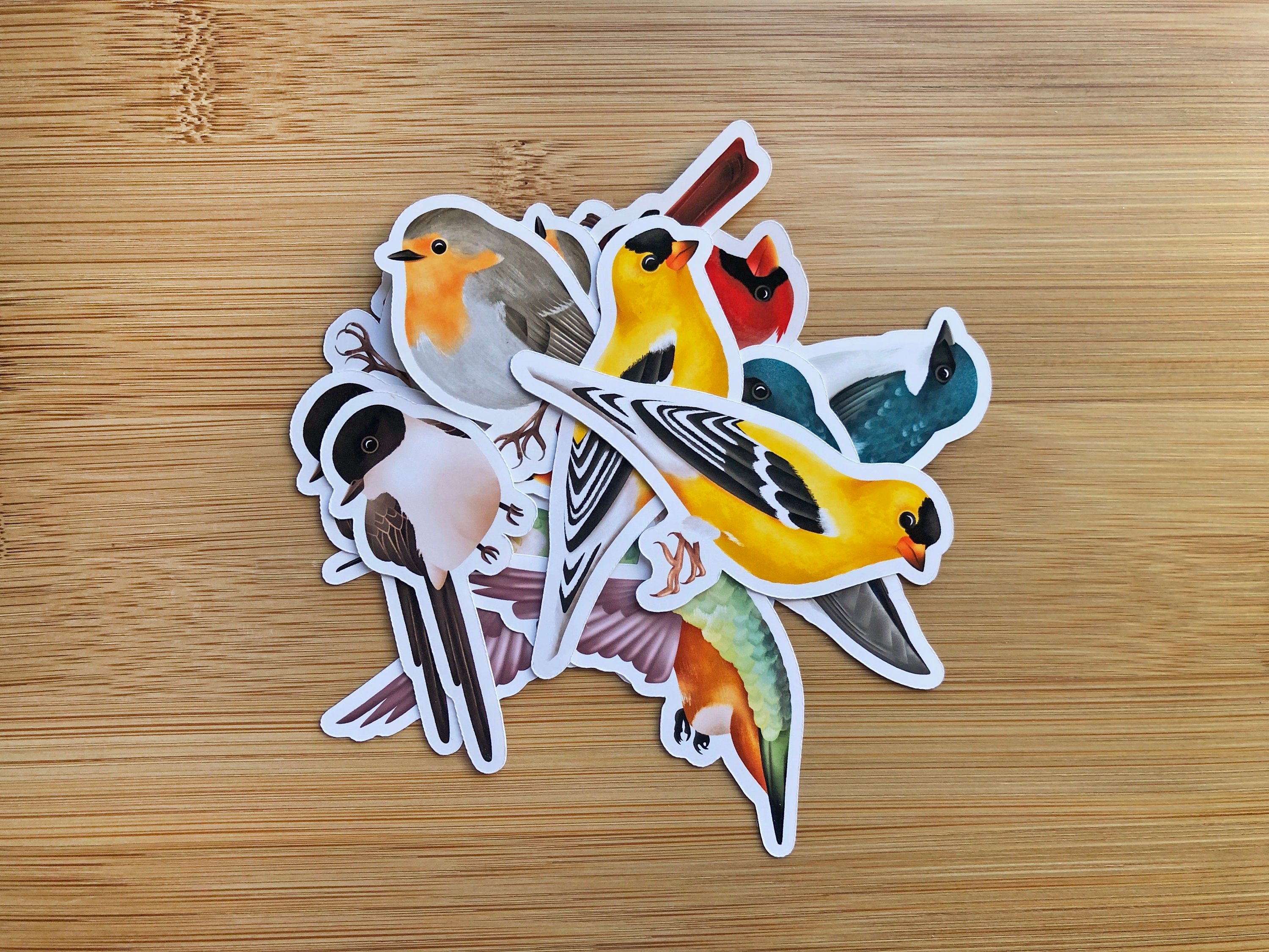 Bird Sticker Pack 12pc / Bird Stickers / Nature Stickers / - Etsy